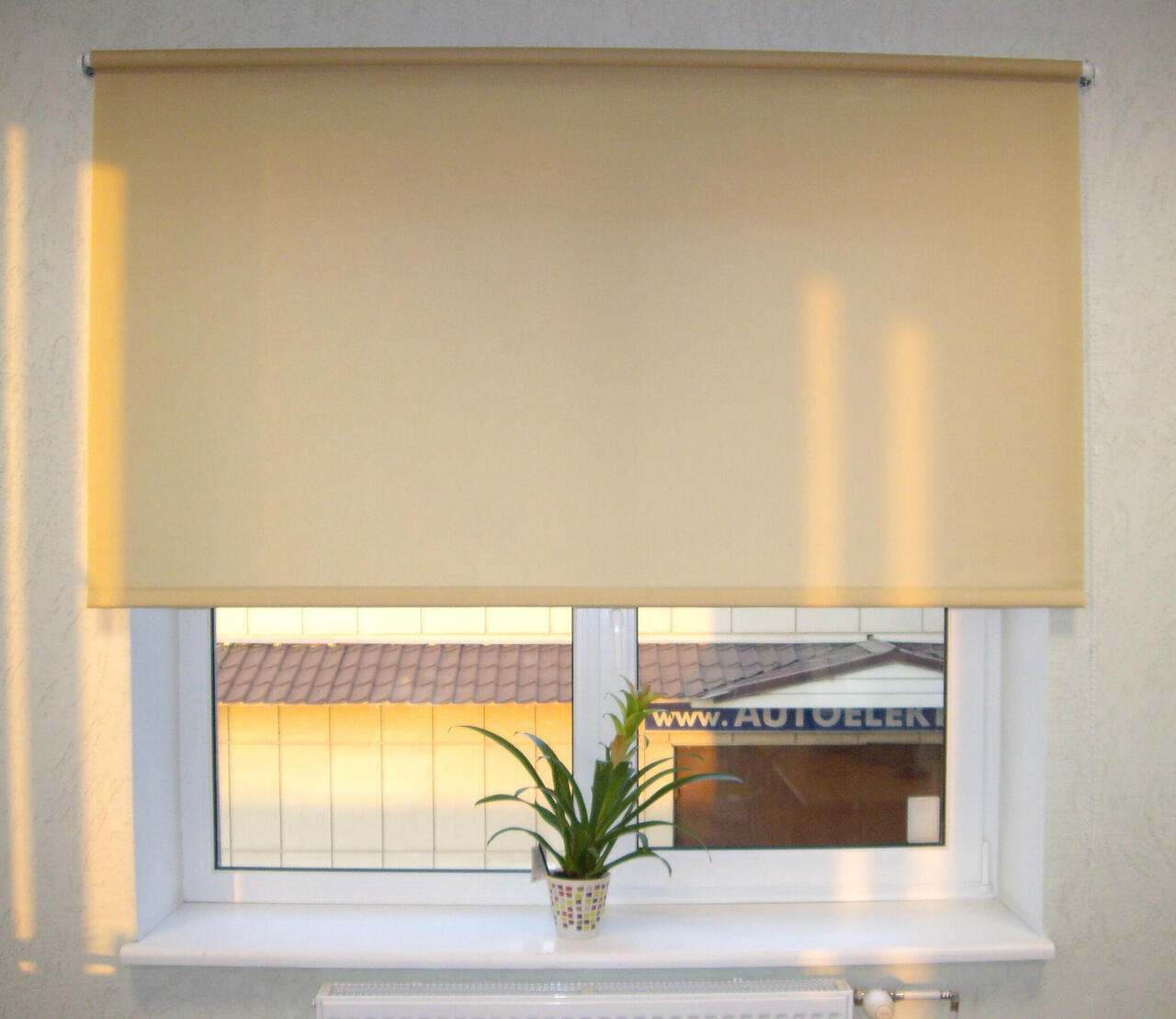 Kardinapood.ee – Rulood